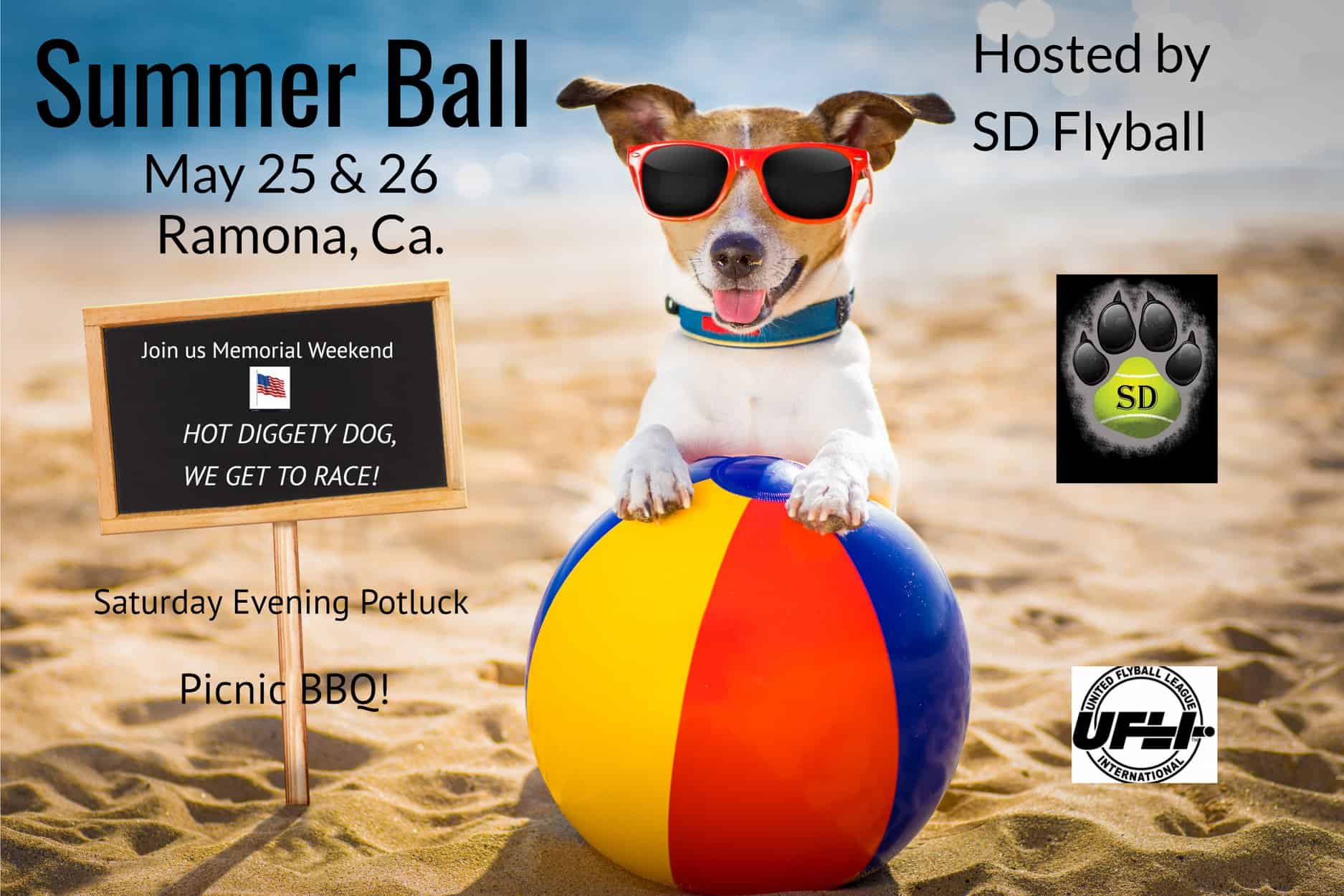 Summer Ball 2019 – SD Flyball